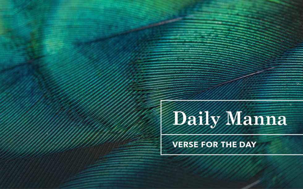 Home Page | Canadian Bible Society