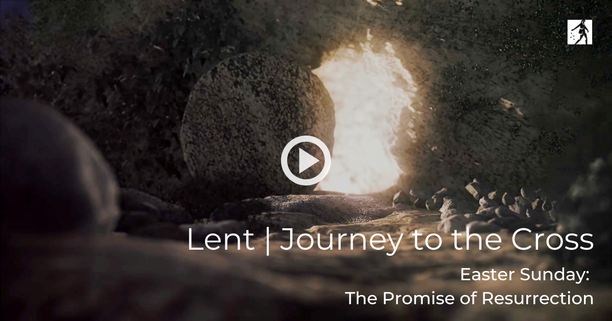 Holy Week Devotional | Easter Sunday: The Promise of Resurrection ...